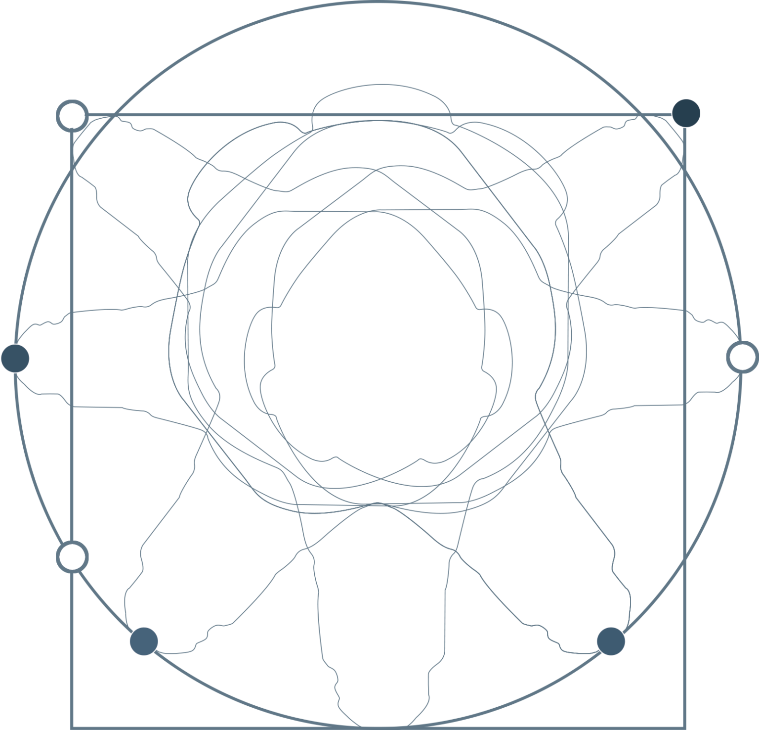 iPhysio®, - iPhysio®